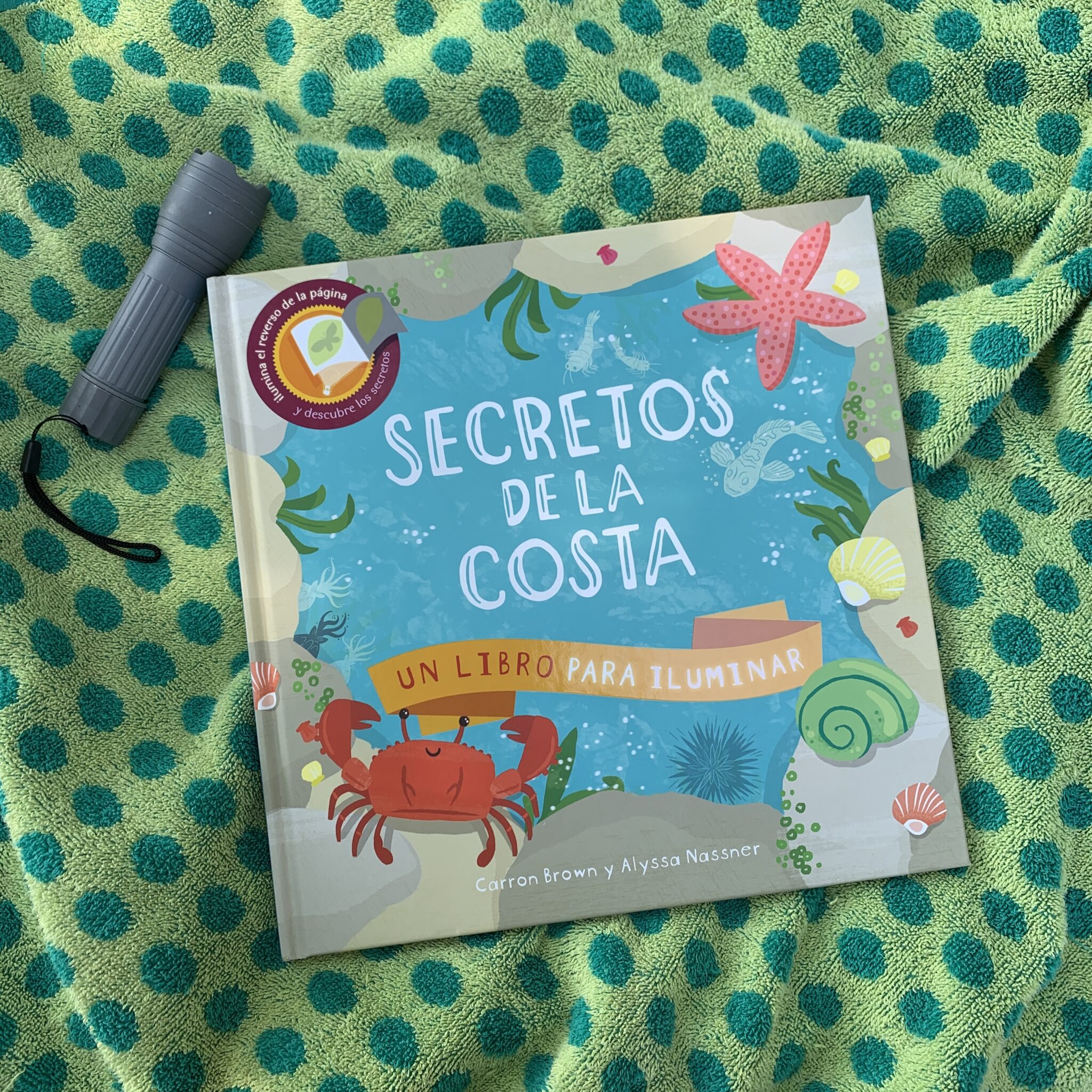 Usborne Books in Spanish About the Beach & Ocean | For the Love of Spanish